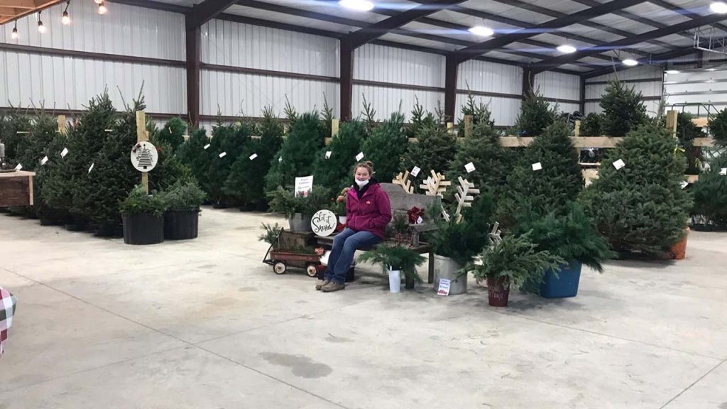 KNEB-AM 960 AM – 100.3 FM - Centennial FFA member sells Christmas trees ...