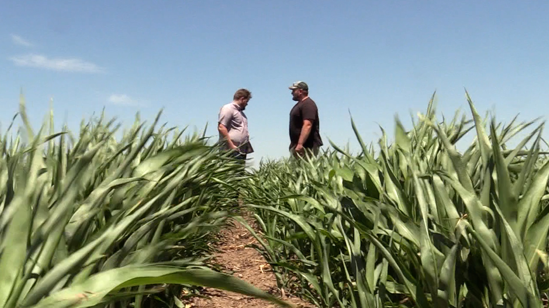 KTIC 840 AM/98.3 FM/98.7 FM - Kearney area farmer enjoys benefits of ...