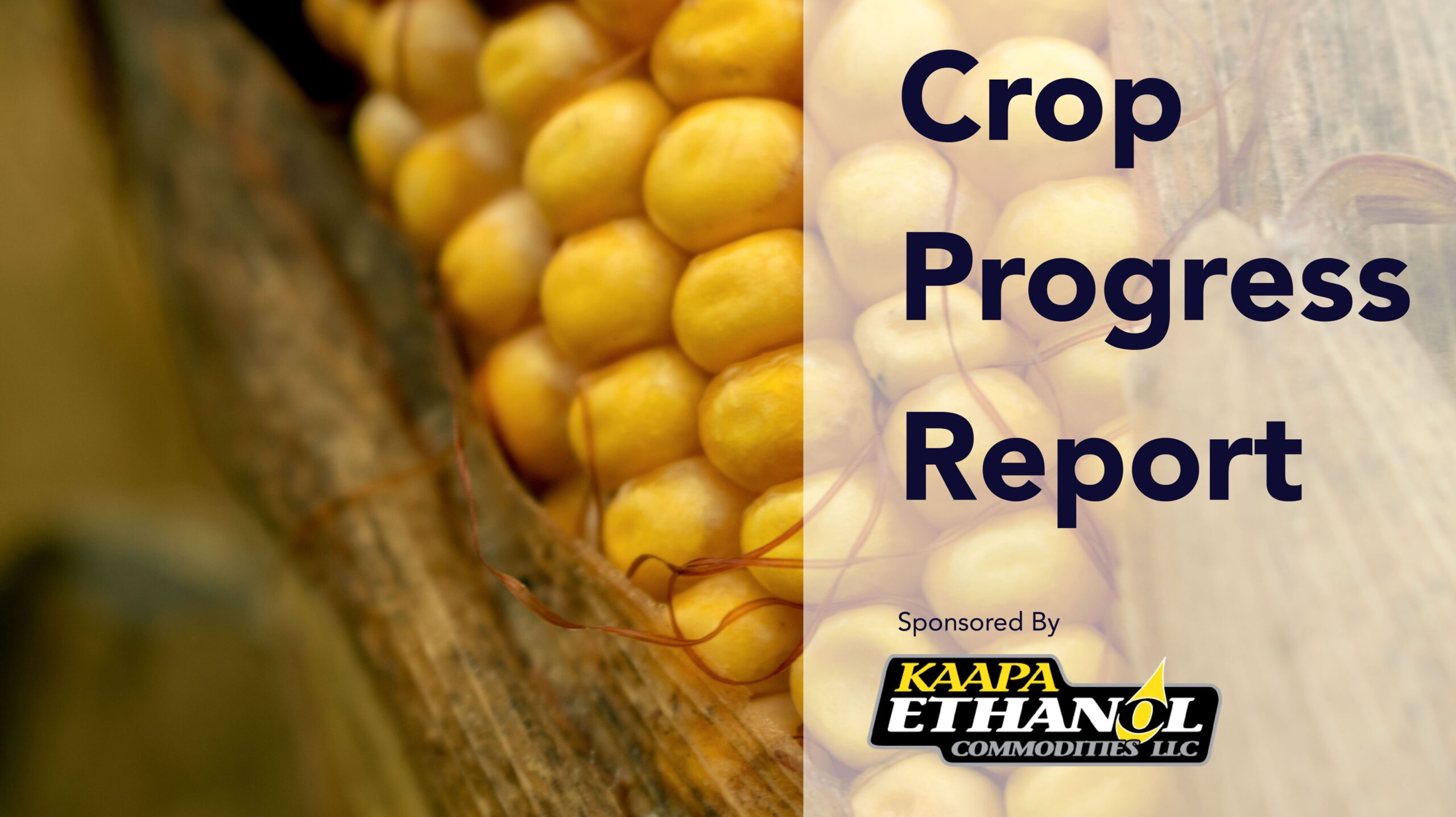 KAAPA Ethanol’s Weekly Crop Progress Report: September 6th, 2022 ...