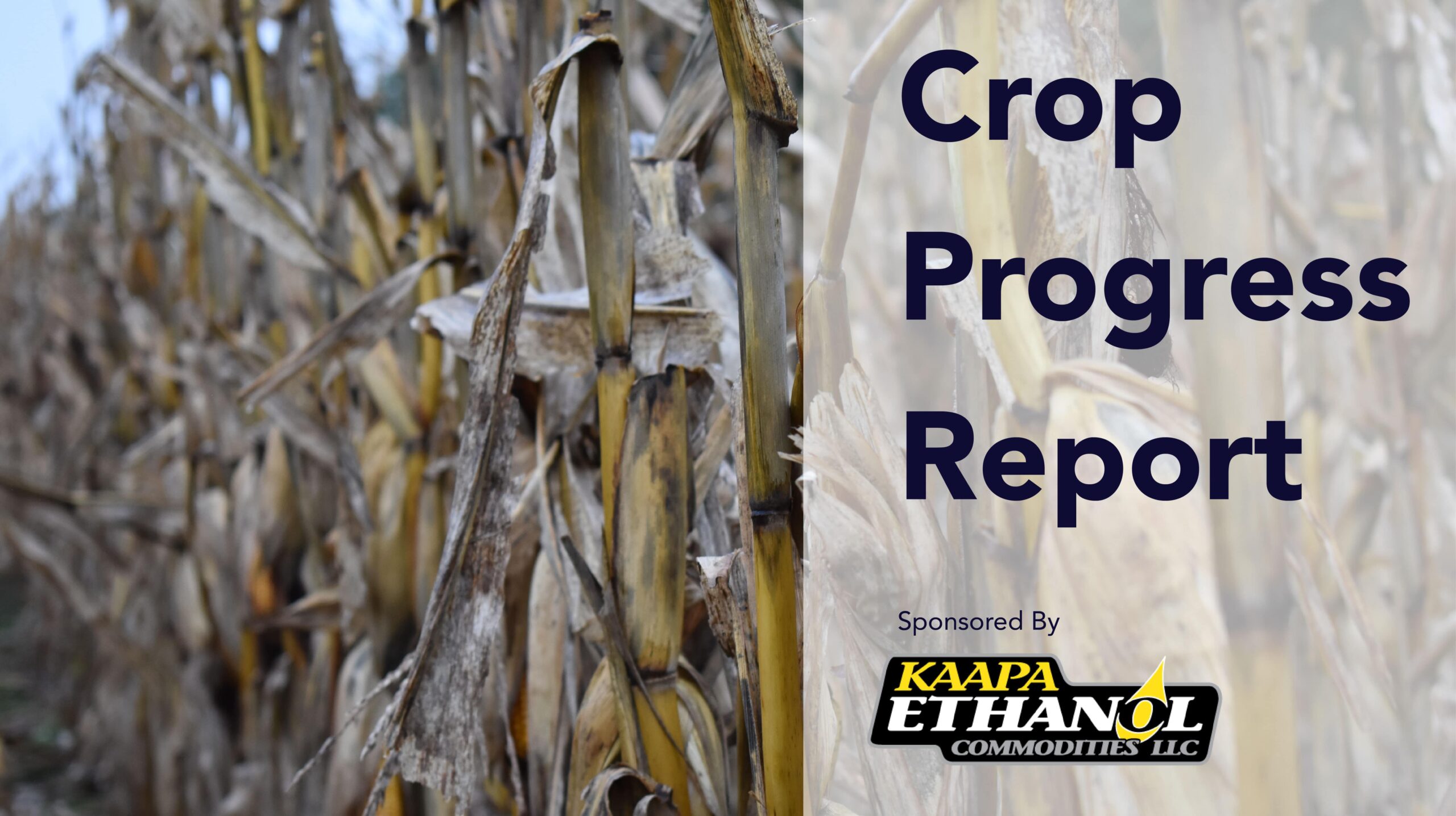 KRVN 880 – KRVN 93.1 – KAMI - KAAPA Ethanol’s Weekly Crop Progress Report: September 26th, 2022