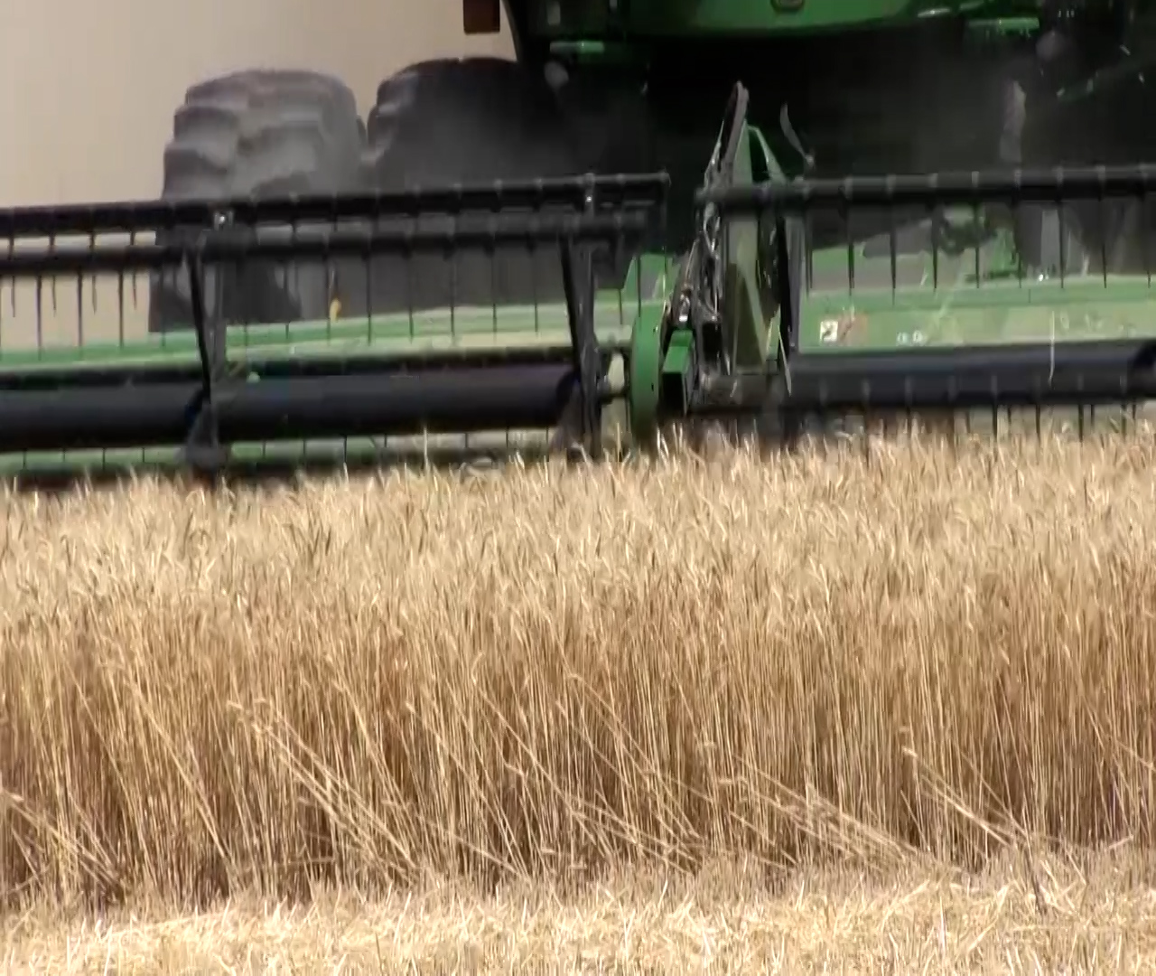 Gurley farmer looks back on performance of his crops | 2022 Fridays in ...