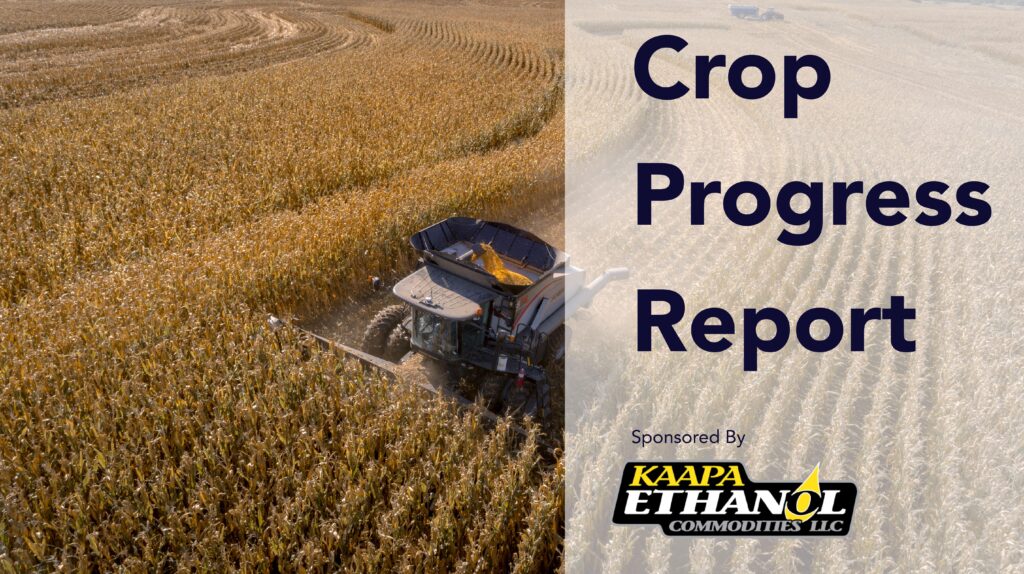 KAAPA Ethanol’s Weekly Crop Progress Report: October 3rd, 2022 - Rural ...