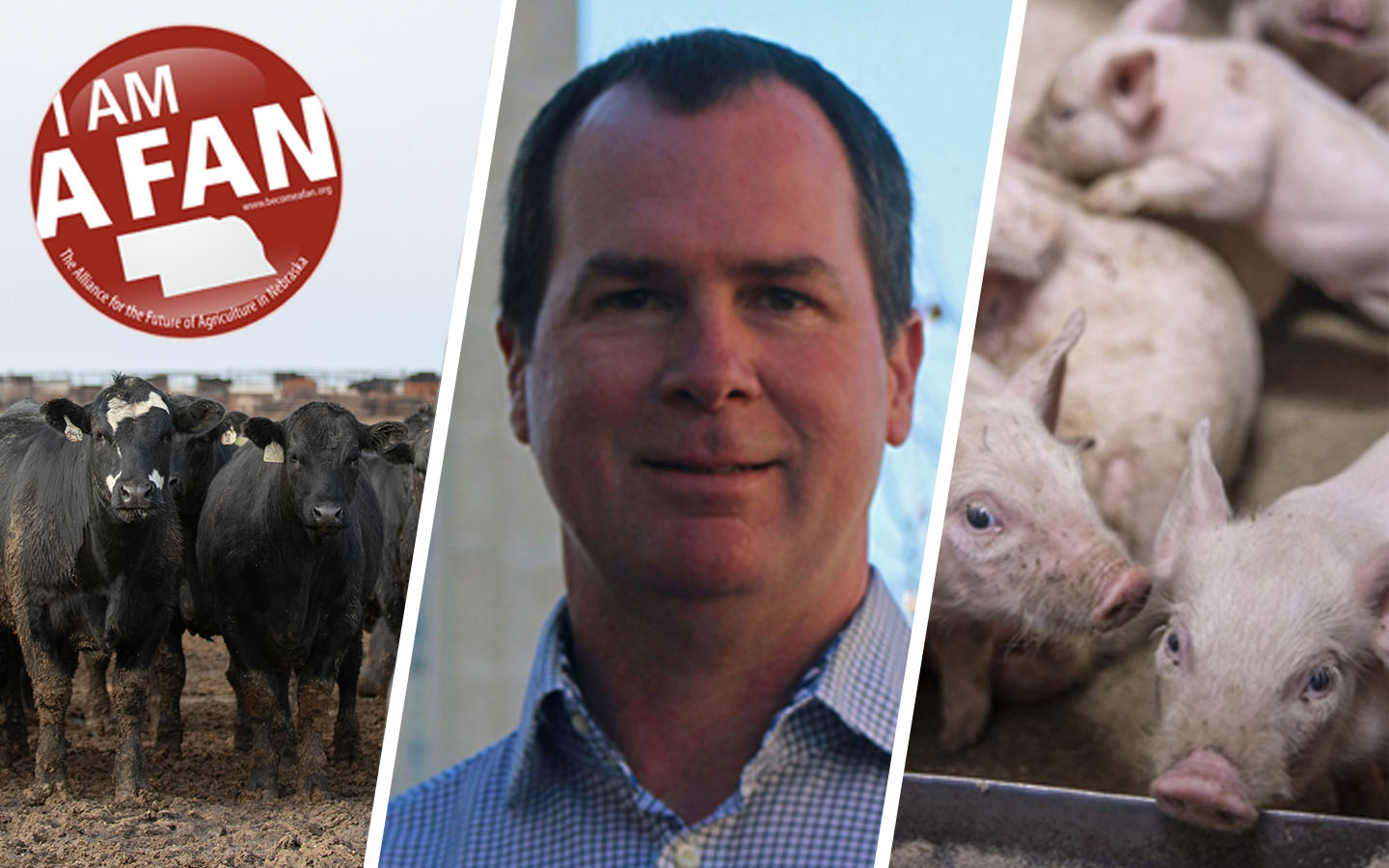 KRVN 880 – KRVN 93.1 – KAMI - AFAN celebrates 35 livestock projects in ...