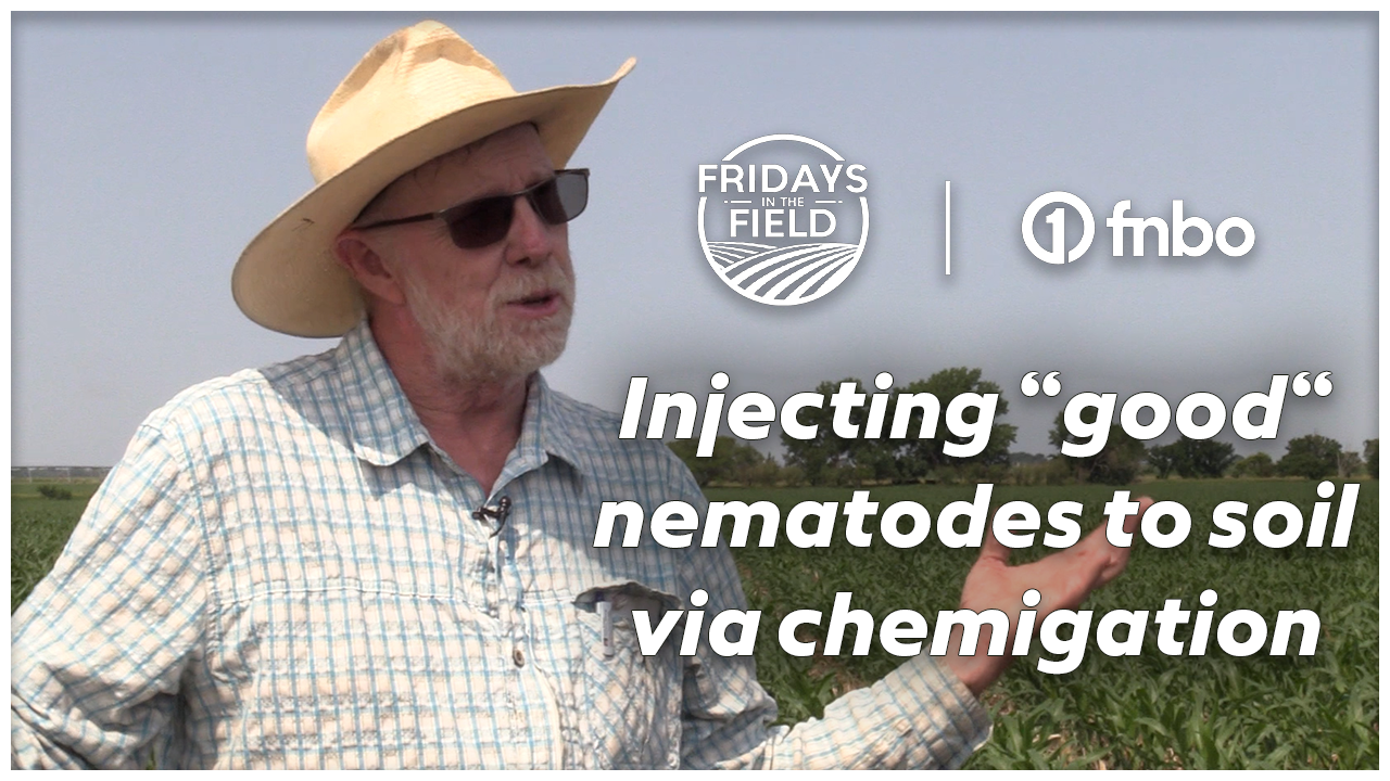 KRVN 880 – KRVN 93.1 – KAMI - Nebraska farmer injects “good” nematodes ...