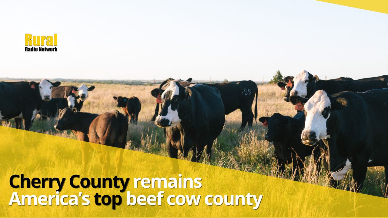 KNEB-AM 960 AM – 100.3 FM - Cherry County remains America’s top beef ...