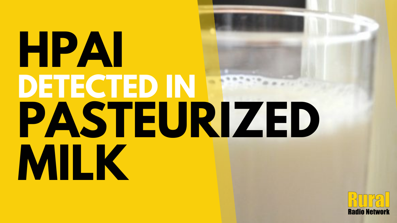 FDA finds HPAI fragments in pasteurized milk but says supply is still ...