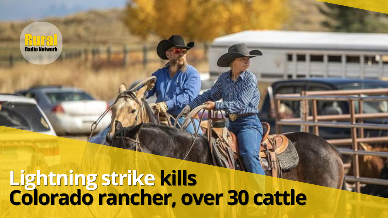 KNEB-AM 960 AM – 100.3 FM - Colorado rancher, over 30 cattle killed by ...
