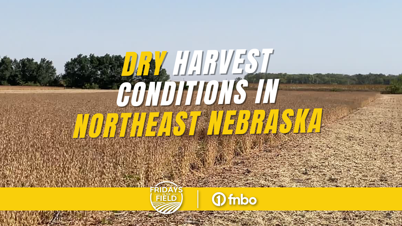 KNEB-AM 960 AM – 100.3 FM - Northeast Nebraska Farmer Battles Dry ...