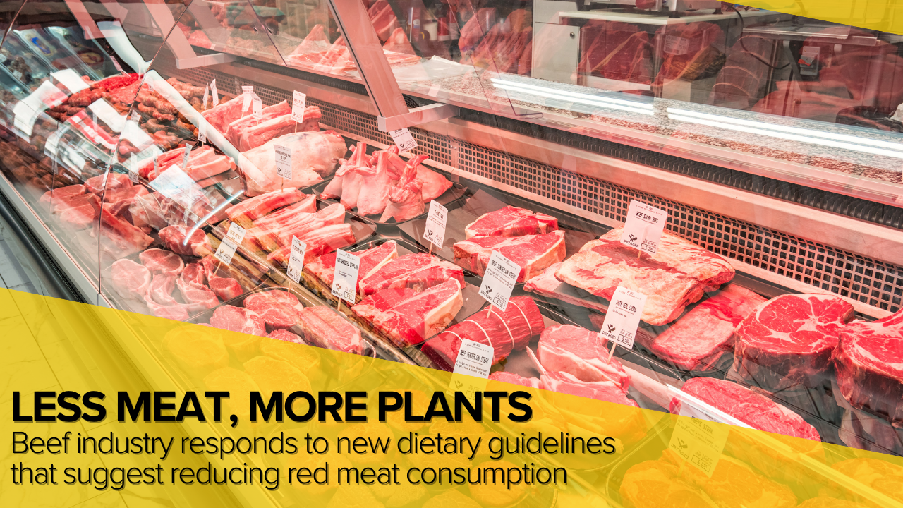 KUVR - Beef industry responds to new dietary guidelines suggesting less ...
