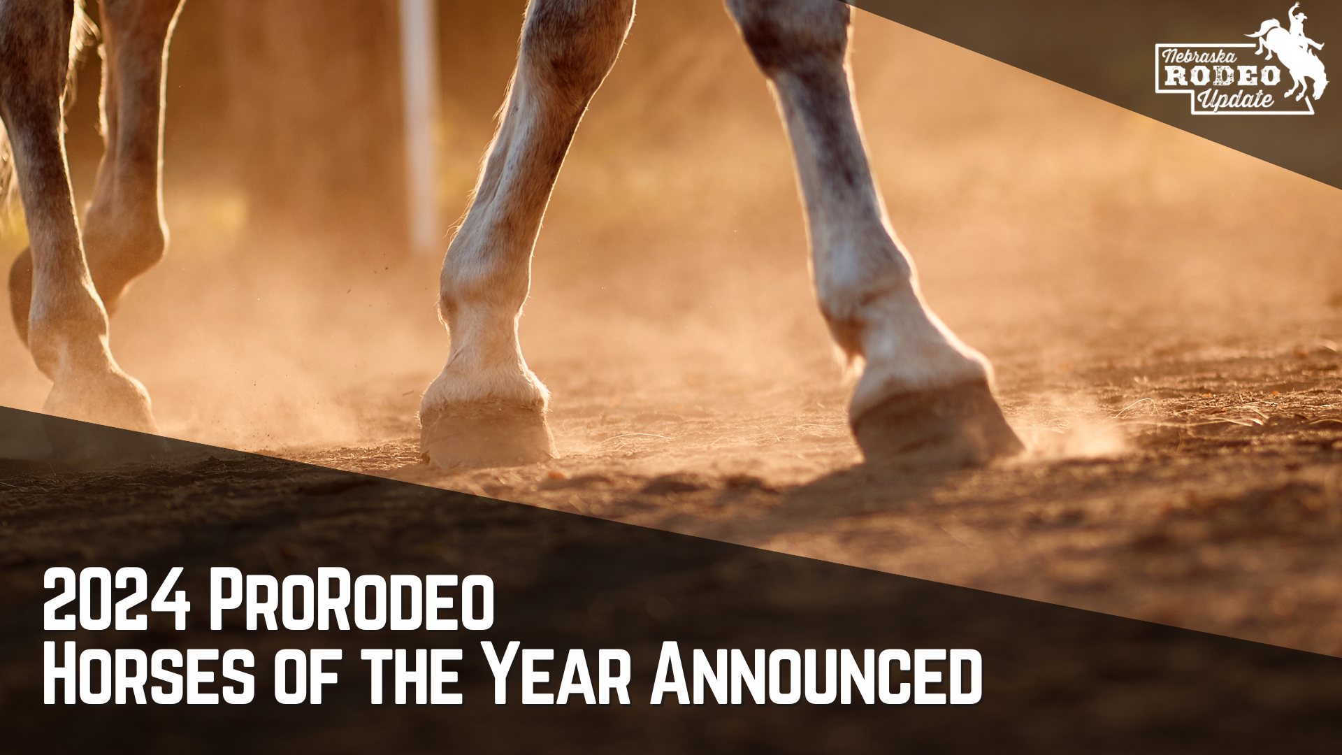 Top animal athletes in professional rodeo honored as 2024 Horses of the ...