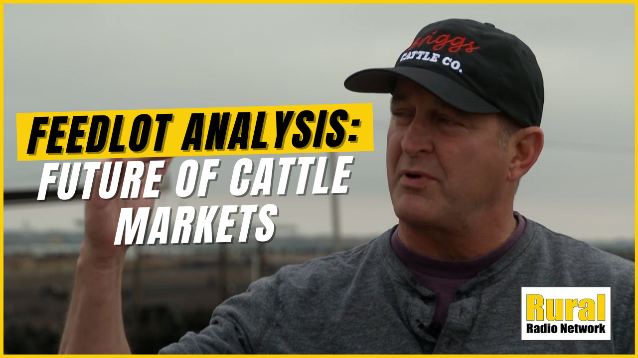 Cattle Market Analysis: Seasonal Trends, Beef Demand, and Future ...