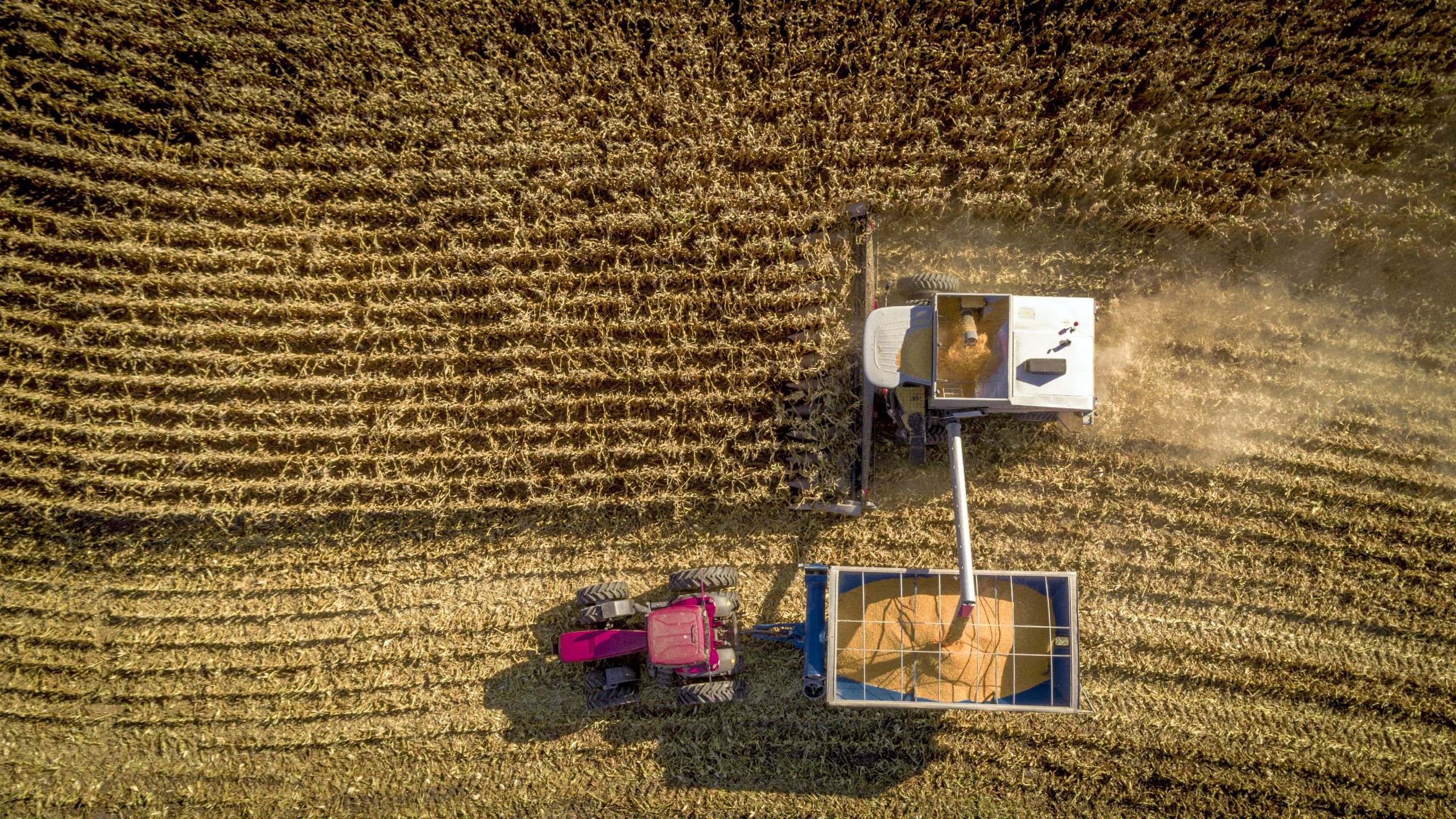 KRVN 880 – KRVN 93.1 – KAMI - U.S. Farmers Staying Optimistic for 2025