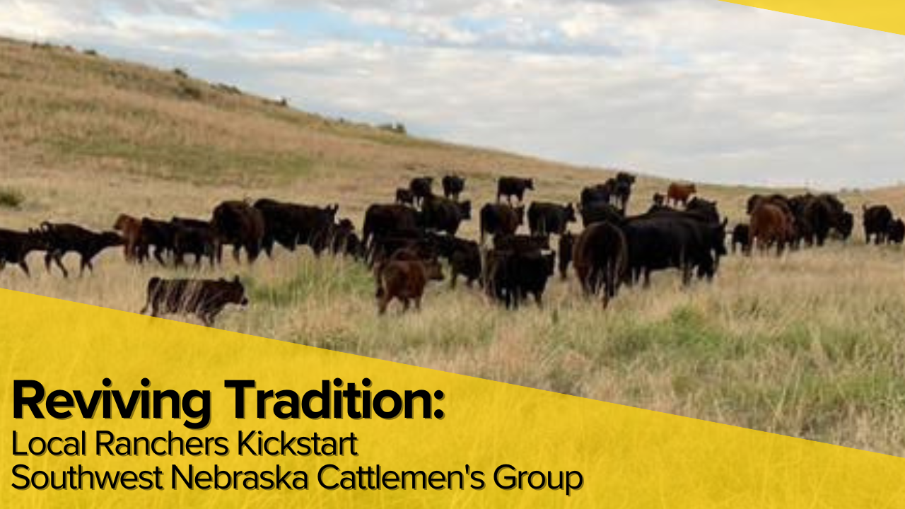 KRVN 880 – KRVN 93.1 – KAMI - Reviving Tradition: Local Ranchers ...