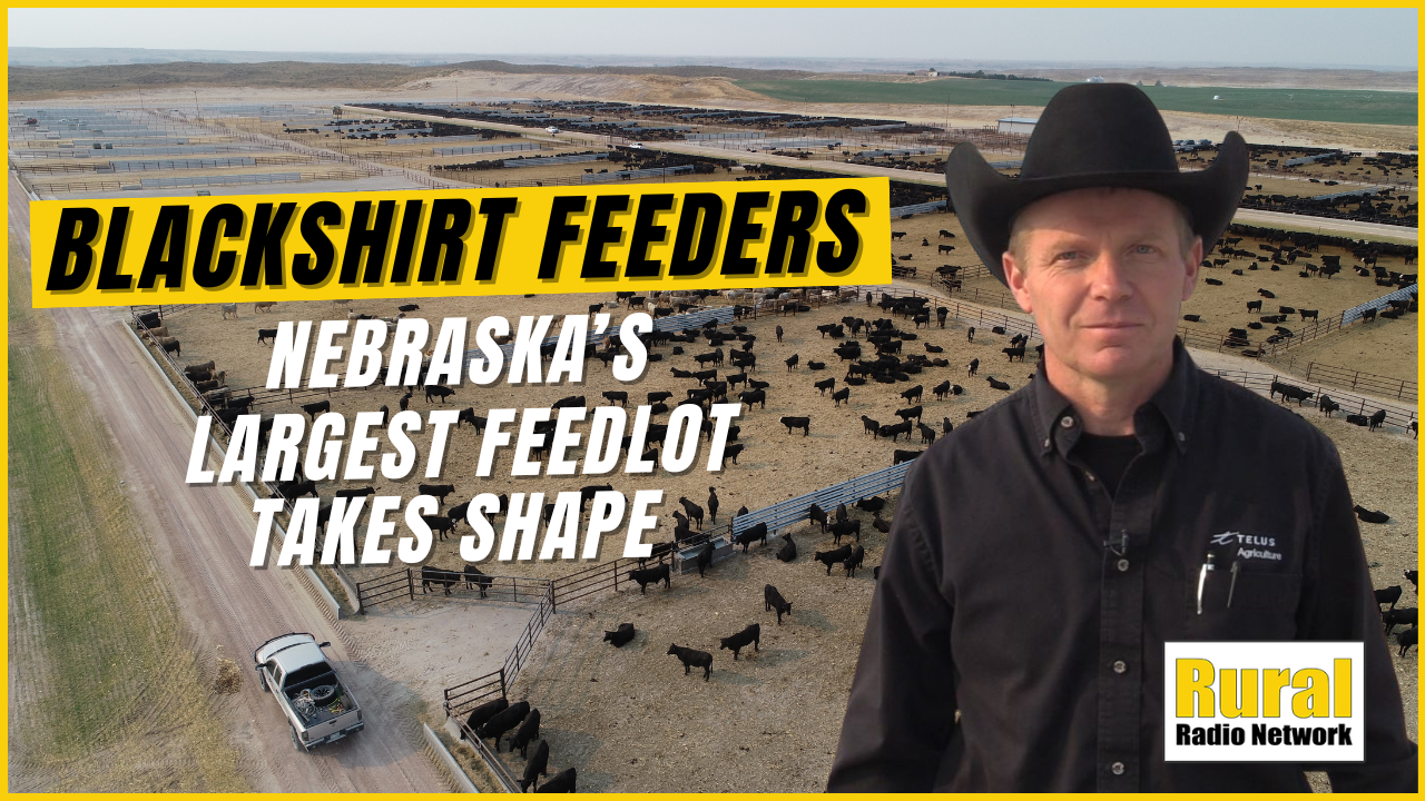 Blackshirt Feeders - Part 1: Nebraska’s largest feedlot takes shape ...
