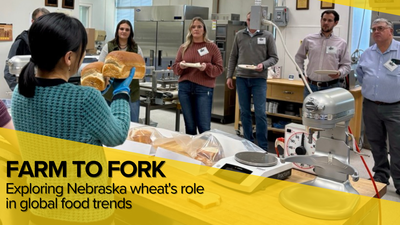 KUVR - Farm to Fork: Exploring Nebraska wheat’s role in global food trends