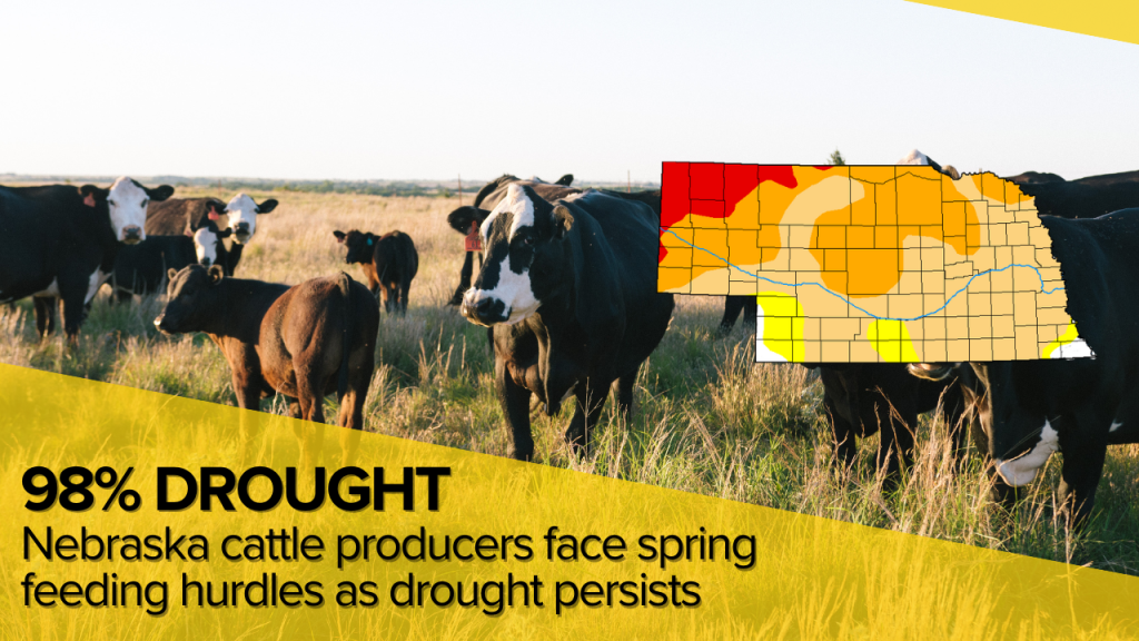 KRVN 880 – KRVN 93.1 – KAMI - Nebraska cattle producers face spring ...
