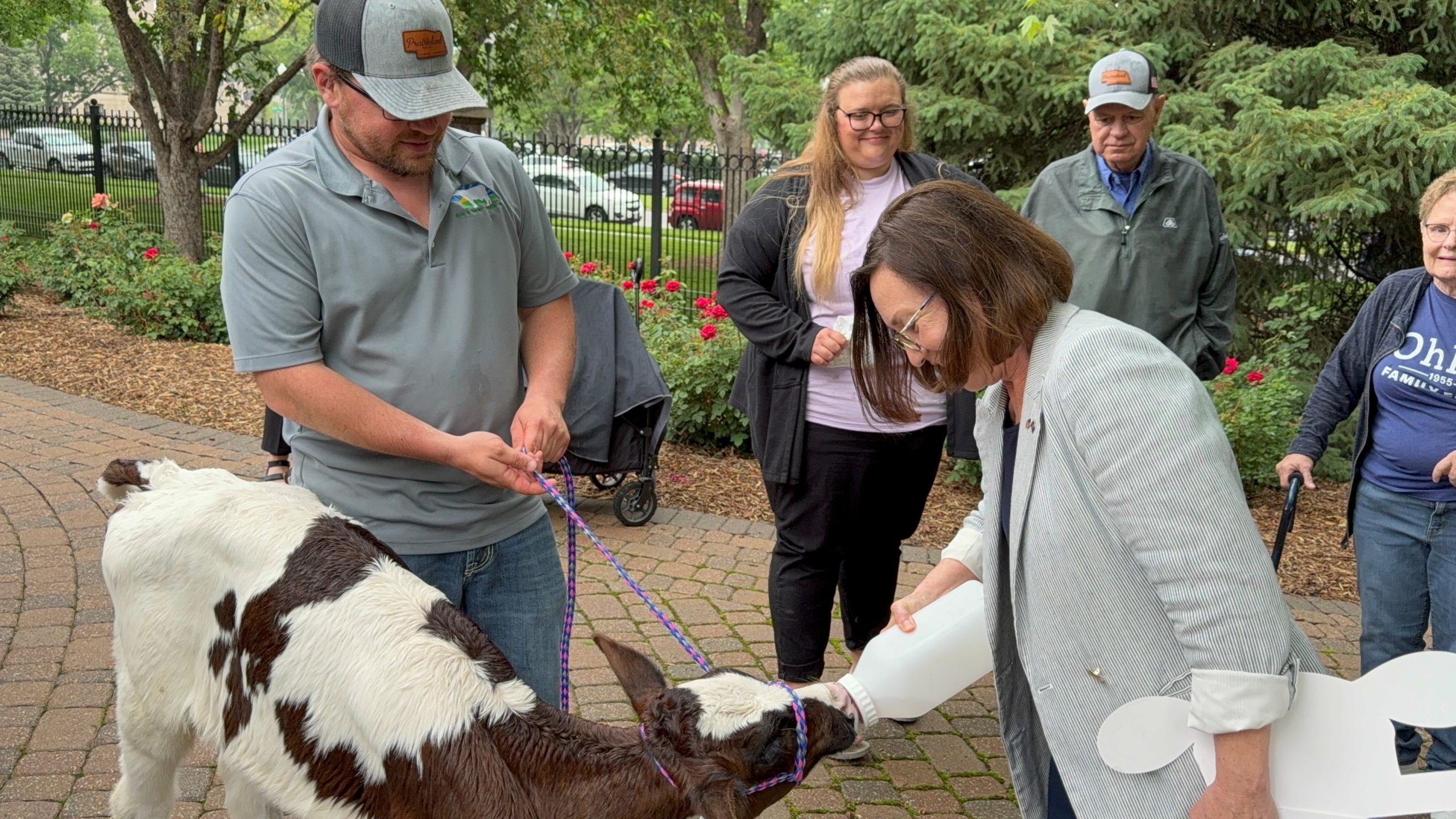 KUVR - Whole milk comeback? Science, Senate, and ice cream collide in ...