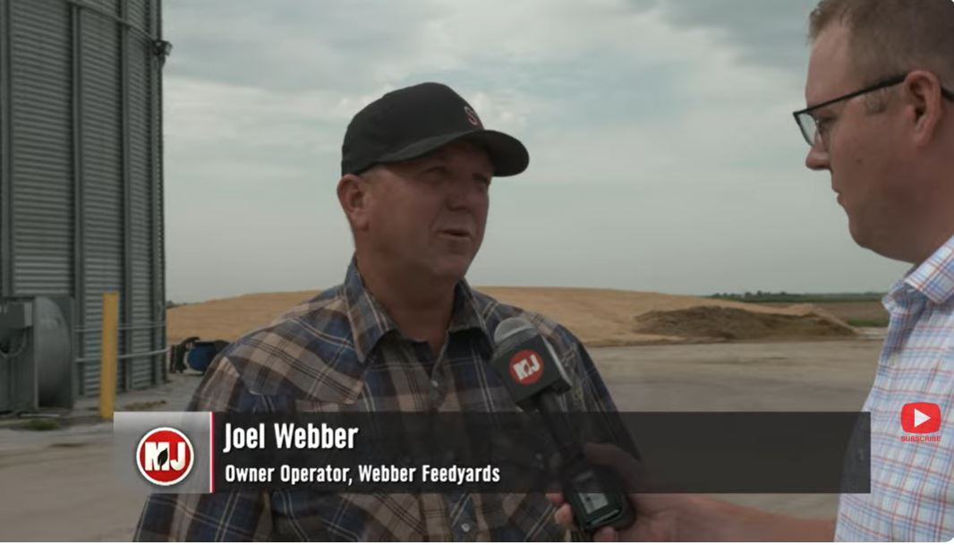 Market Journal TV: From the feedlot to the fair — hot cattle markets ...