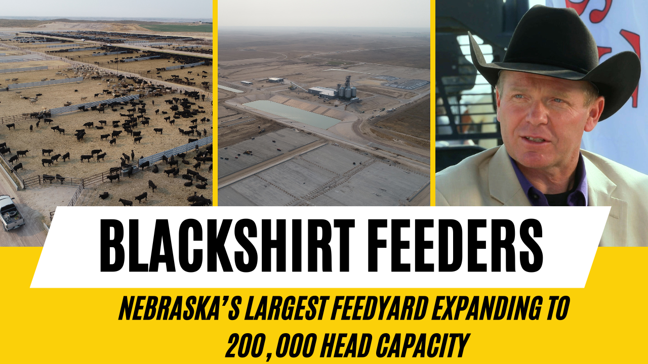Nebraska’s largest feedyard gets bigger: Blackshirt Feeders announces ...