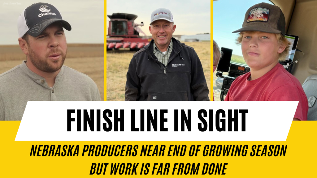 KNEB-AM 960 AM – 100.3 FM - Fridays in the Field: Nebraska farmers near ...