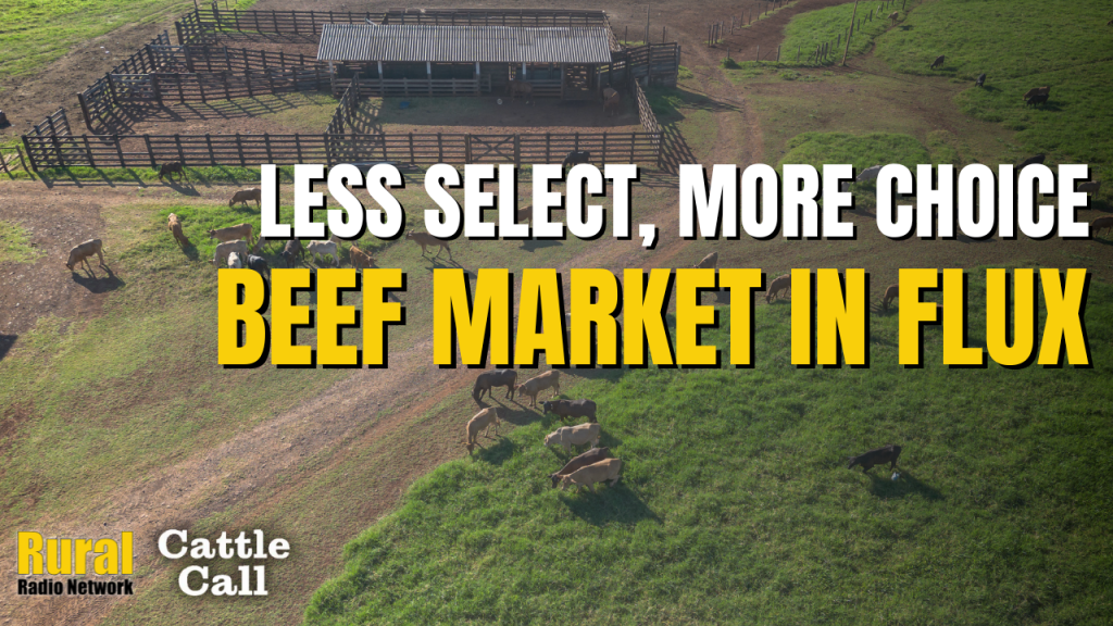 KRVN 880 – KRVN 93.1 – KAMI - Cattle Call: Less select, more choice ...