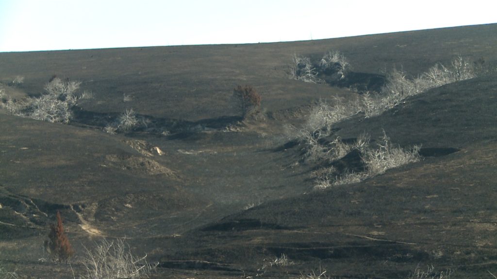 KRVN 880 – KRVN 93.1 – KAMI - Thursday morning update on Cottonwood and ...