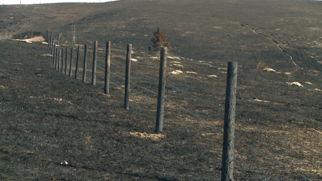 ‘It looks like a wasteland’: Farmers on the front lines of Nebraska ...
