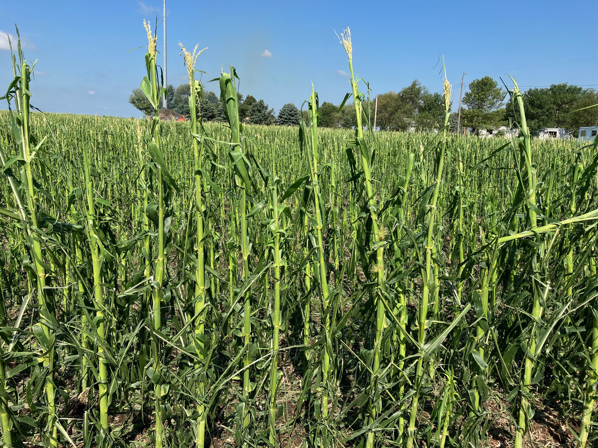 Crops, bins, pivots damaged in York County storm - KOOL