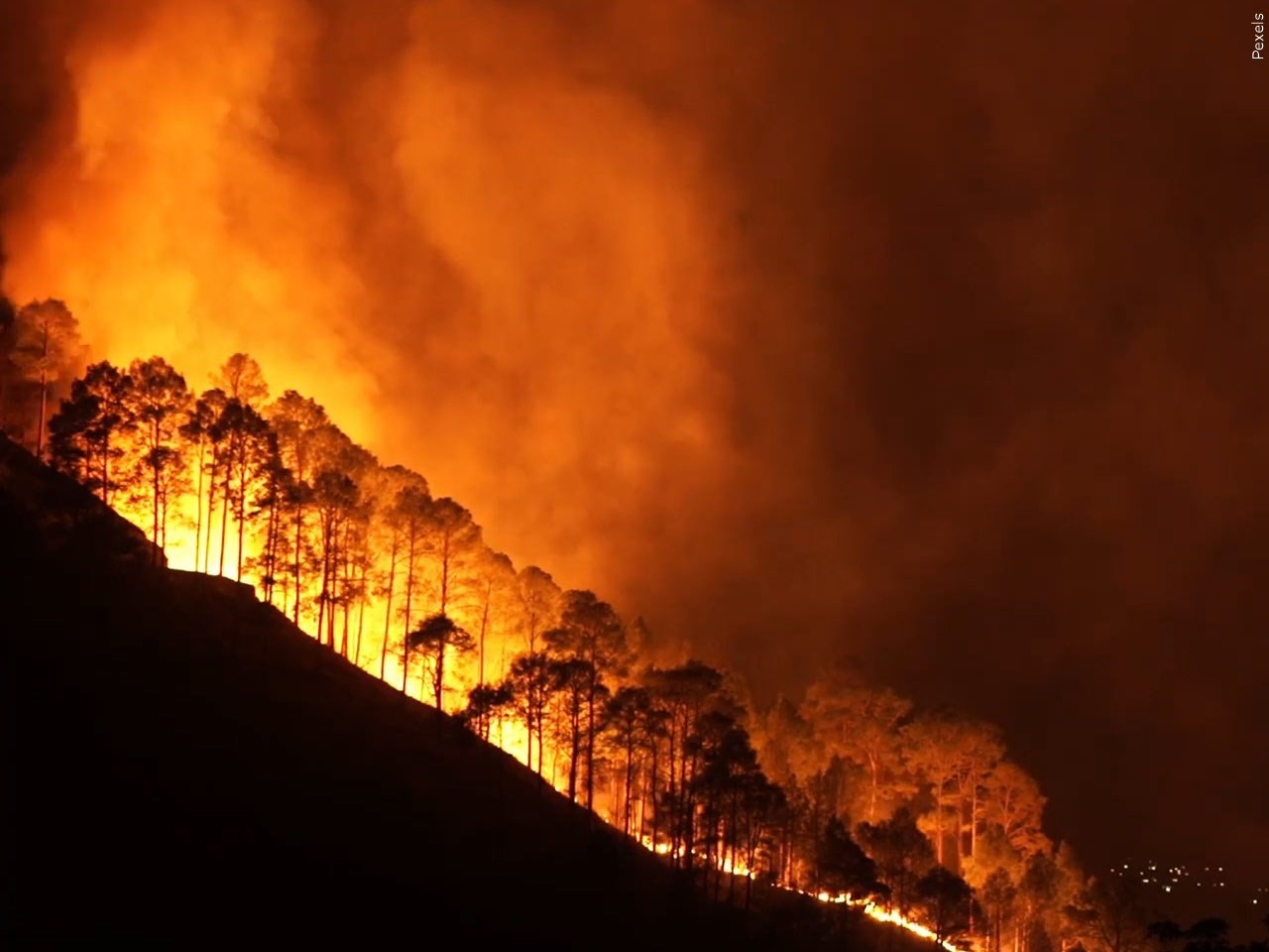 Middle Northeast Community Wildfire Protection Plan Completed - The Bull