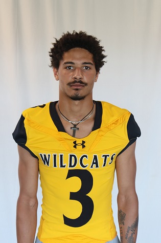 Wayne State football lands 12 players on 2023 NSIC All-Conference ...