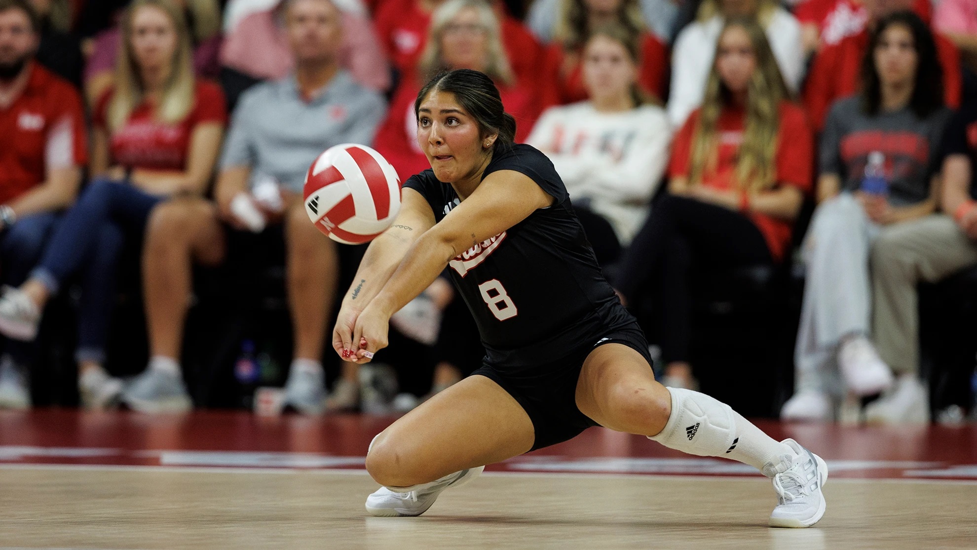 Rodriguez Named Finalist for Honda Sport Award for Volleyball - The Bull