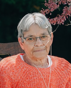 Gail F. Brandyberry, 66, of rural Republican City, NE - The Bull