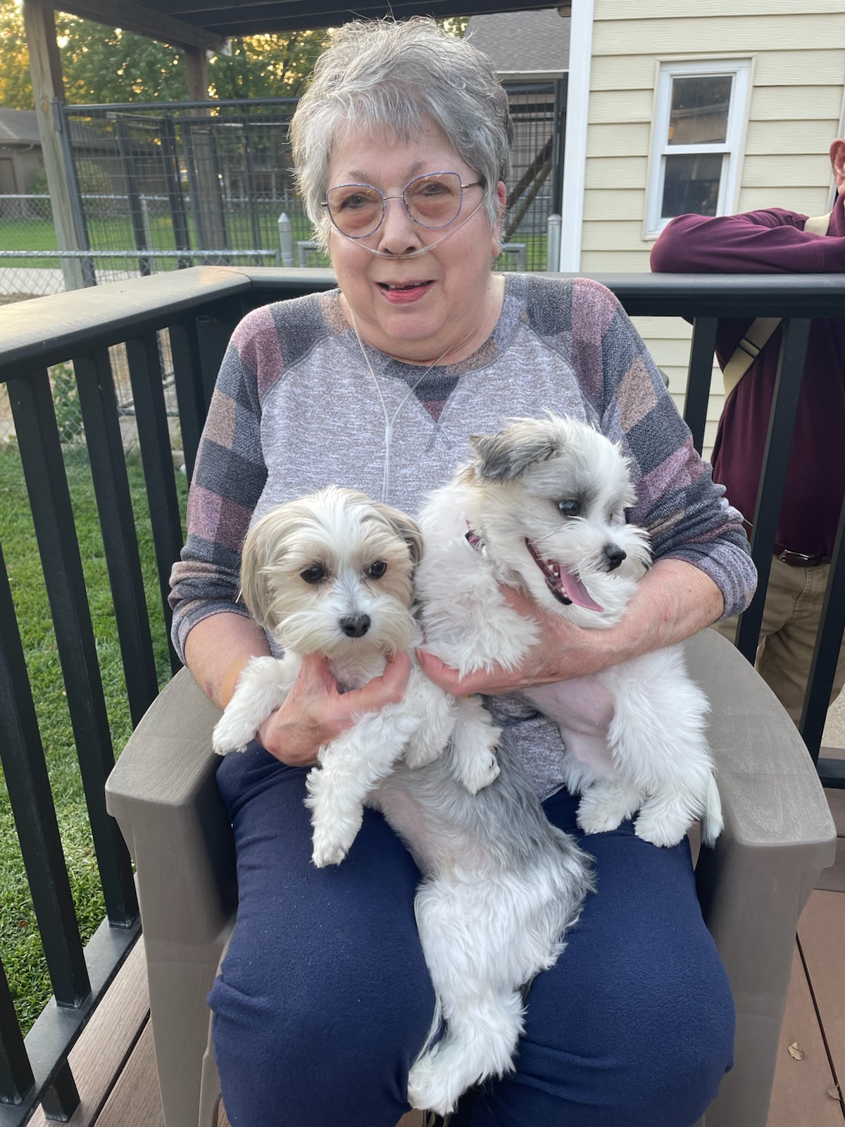 Judy Braun age 78 of Norfolk, NE formerly of Wisner - The Bull