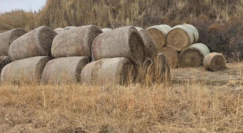 Several Hay Bales Stolen Near Loup City - KBEAR 92.3