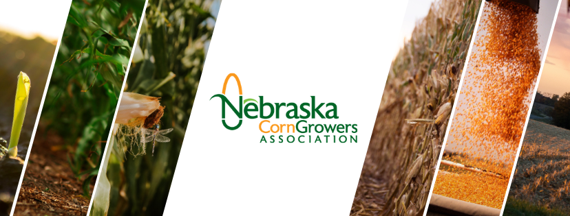KUVR - Nebraska Corn Growers Association announces winners ﻿of 2021 ...