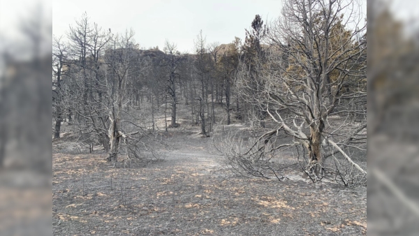 KRVN 880 – KRVN 93.1 – KAMI - Buffalo Creek Fire Just Under 2,600 Acres ...