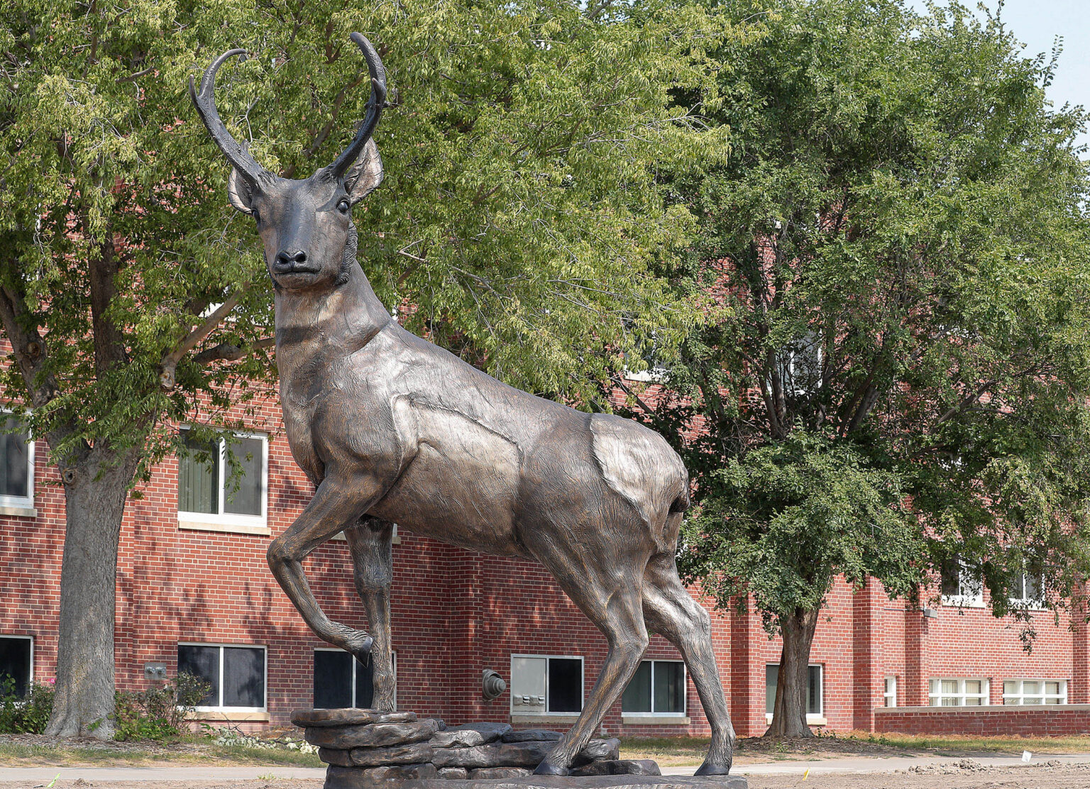 New pronghorn sculpture is ‘point of Loper pride’ on campus - York's ...