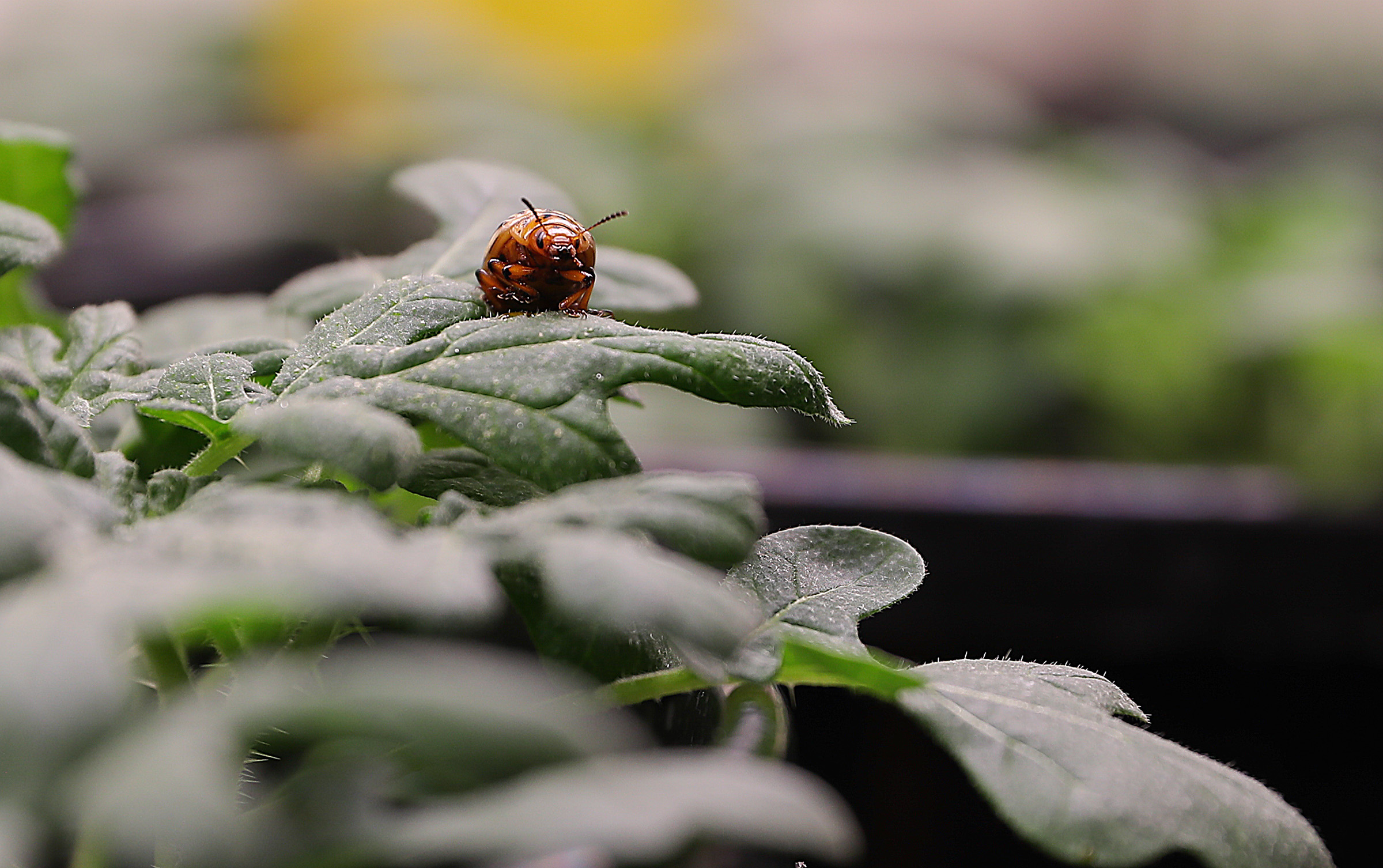 KRVN 880 – KRVN 93.1 – KAMI - ‘It’s a large issue’: UNK researcher ...