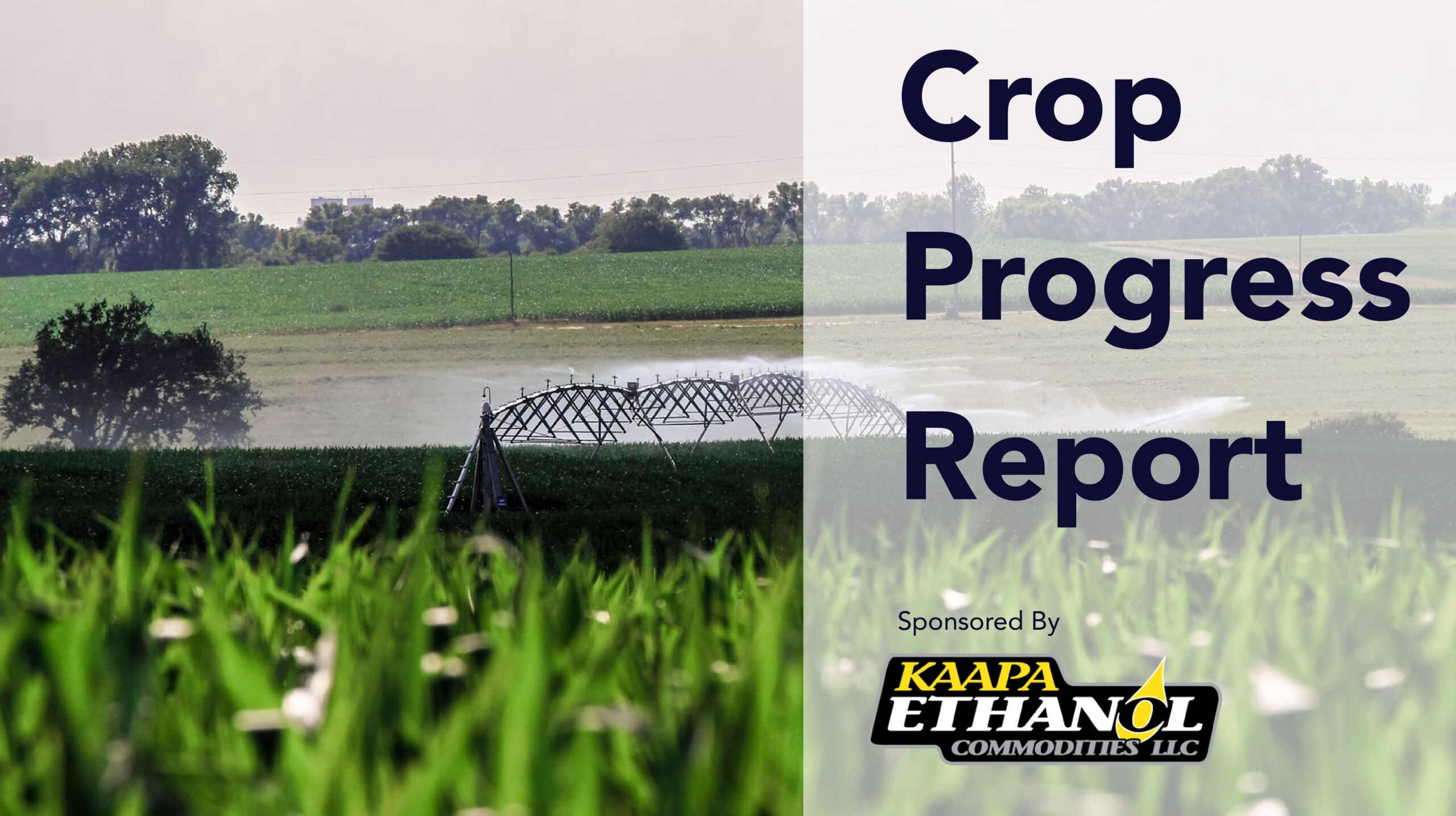 KRVN 880 – KRVN 93.1 – KAMI - KAAPA Ethanol Weekly Crop Progress Report | 6/24/24