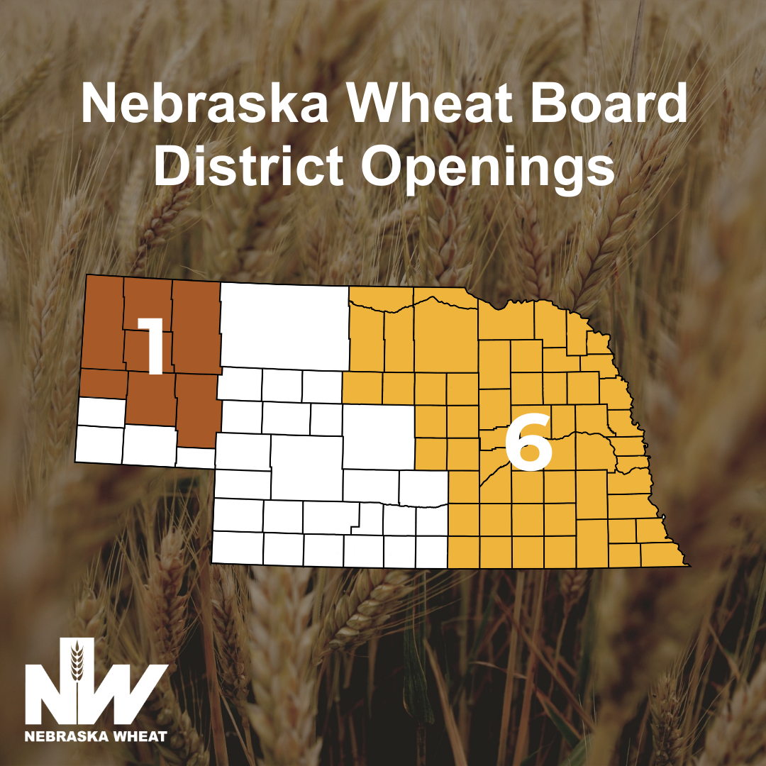 KRVN 880 – KRVN 93.1 – KAMI - Nebraska Wheat Board Seeks Candidates for ...
