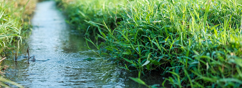 KRVN 880 – KRVN 93.1 – KAMI - Kansas water specialists using data to ...