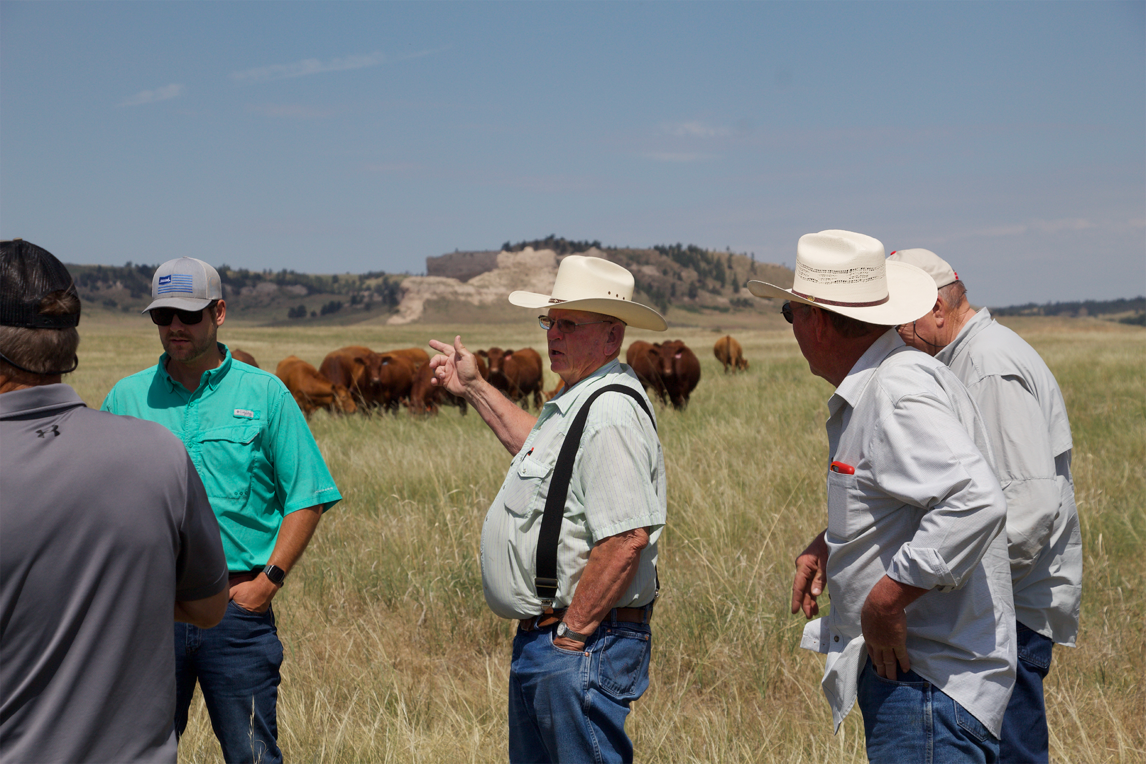 KRVN 880 – KRVN 93.1 – KAMI - Pastures in western Nebraska respond ...