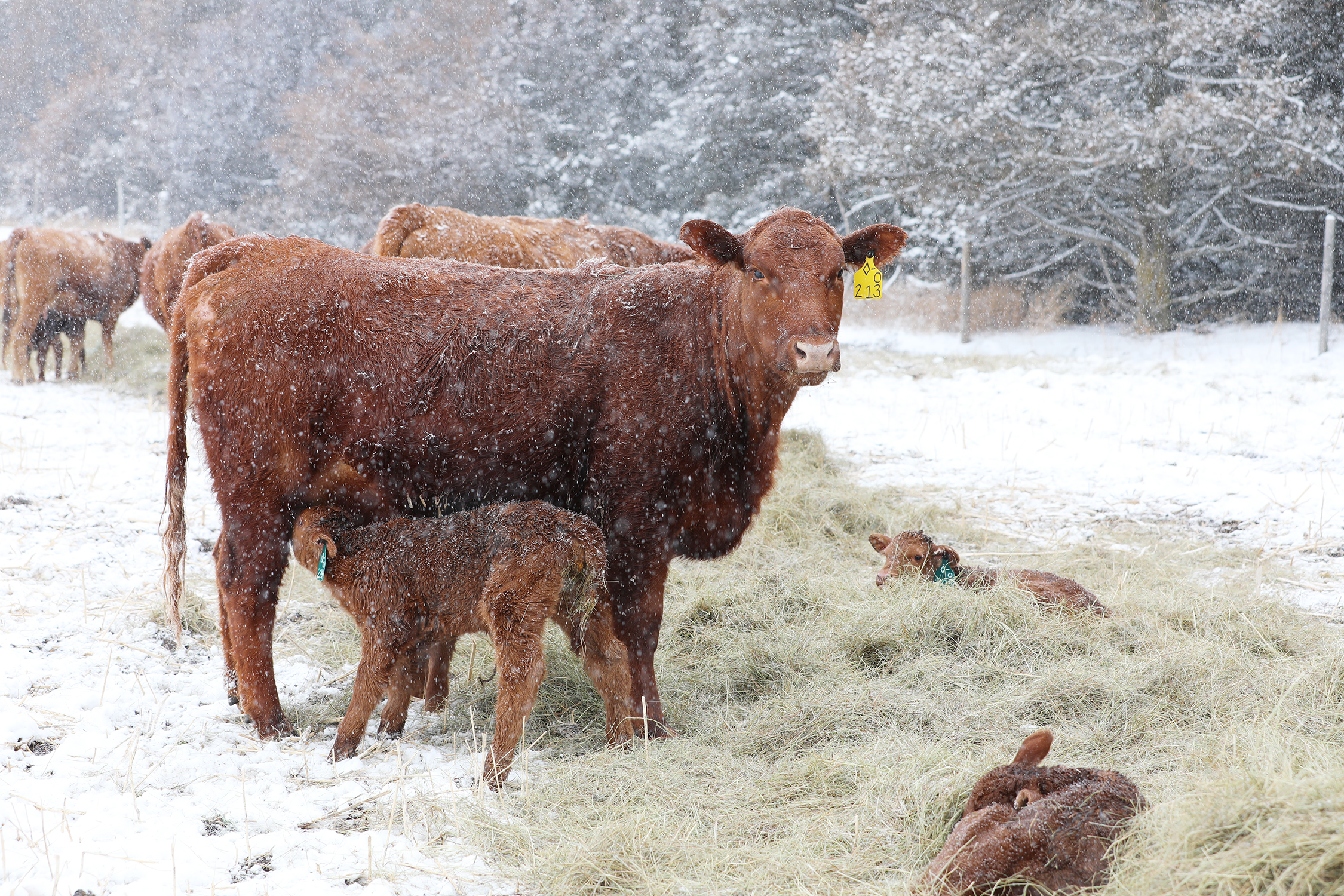 KRVN 880 – KRVN 93.1 – KAMI - LISTEN: Nebraska braces for active ...