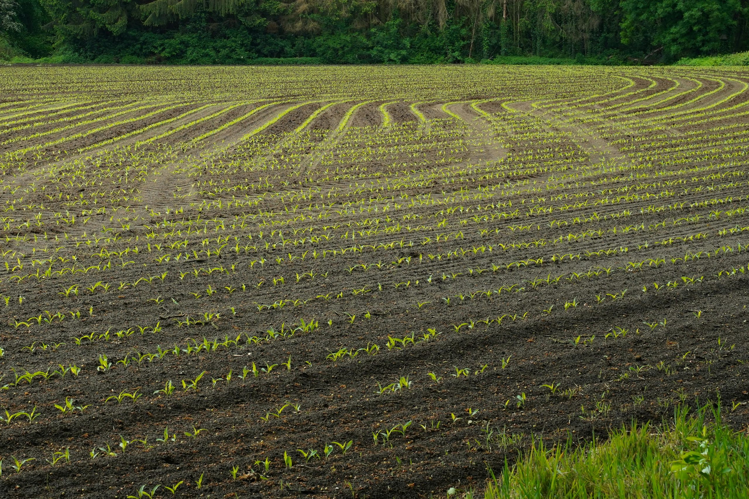 KRVN 880 – KRVN 93.1 – KAMI - UPL Corp Receives EPA Approval for Game ...