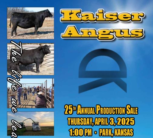KRVN 880 – KRVN 93.1 – KAMI - Kaiser Angus 25th Annual Production Sale