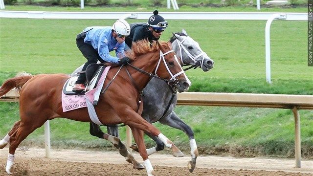 KRVN 880 – KRVN 93.1 – KAMI - Nebraska Equine Extension Conducting Race ...