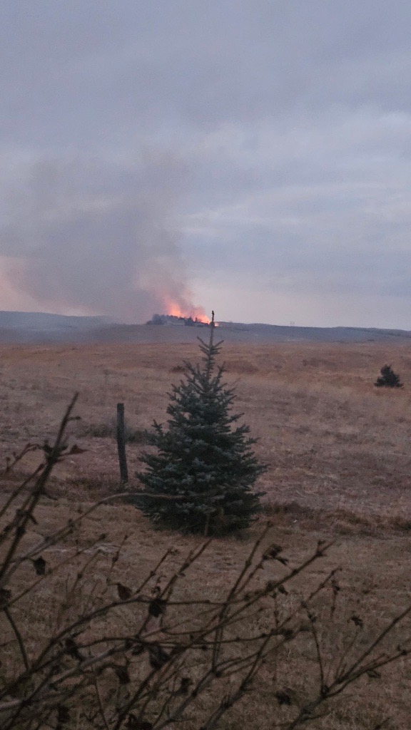 KRVN 880 – KRVN 93.1 – KAMI - Grass fire north of Lexington Sunday ...