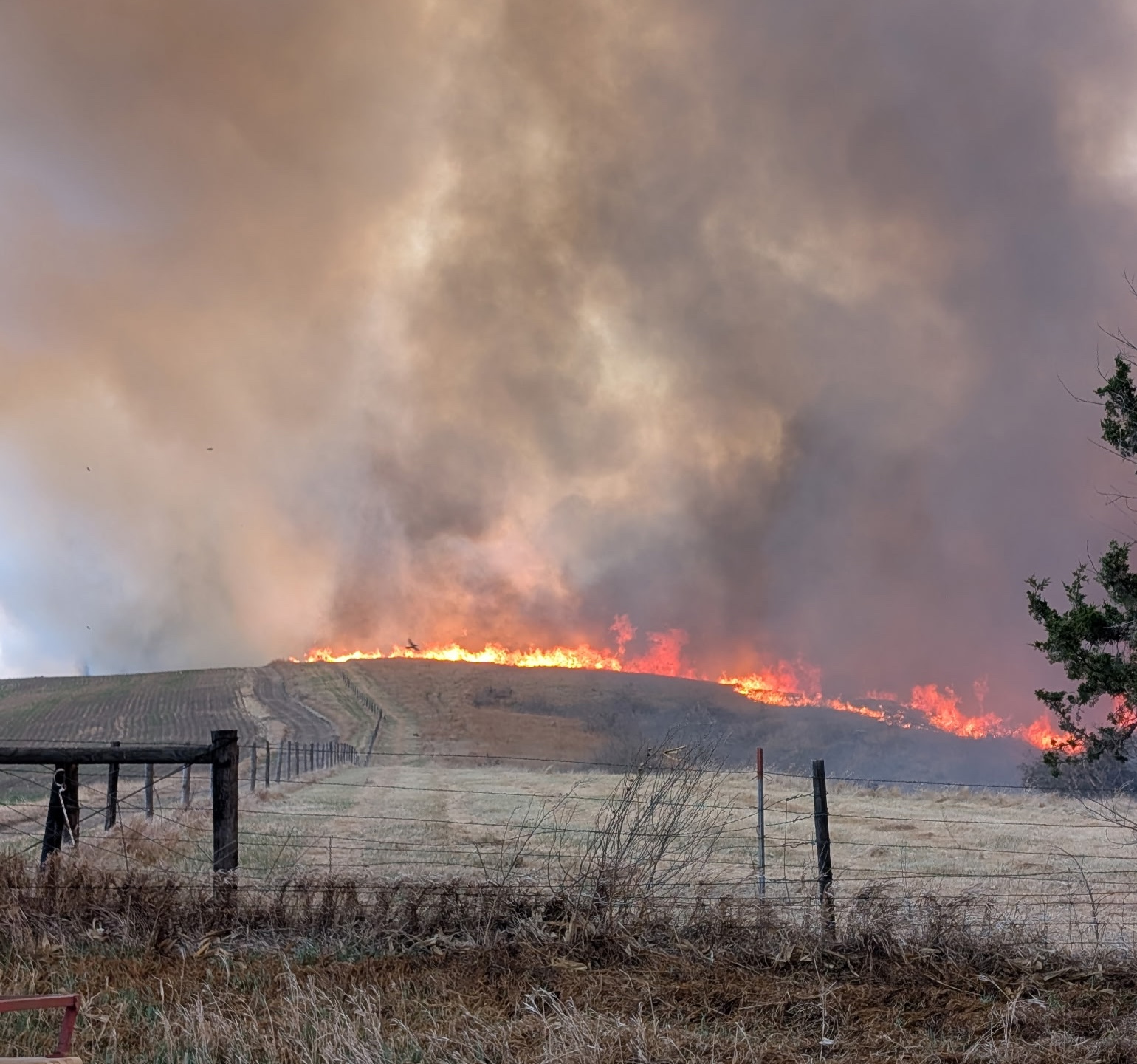 Pressey Fire Returned to Local Control; Agencies Continue Monitoring ...