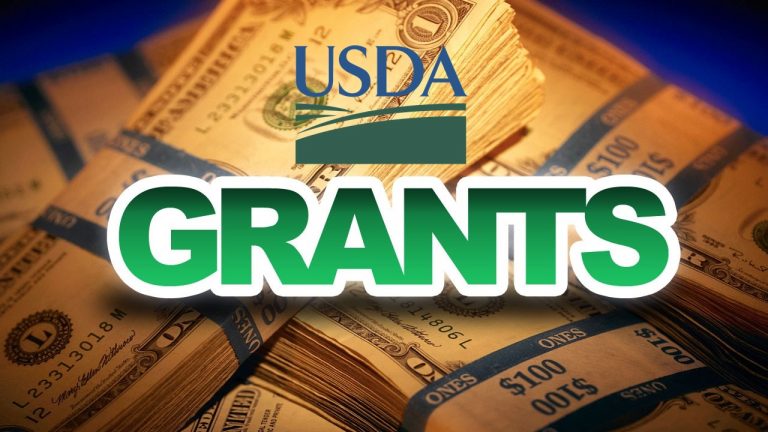 USDA Seeks Applications for Grants to Support Rural Community ...