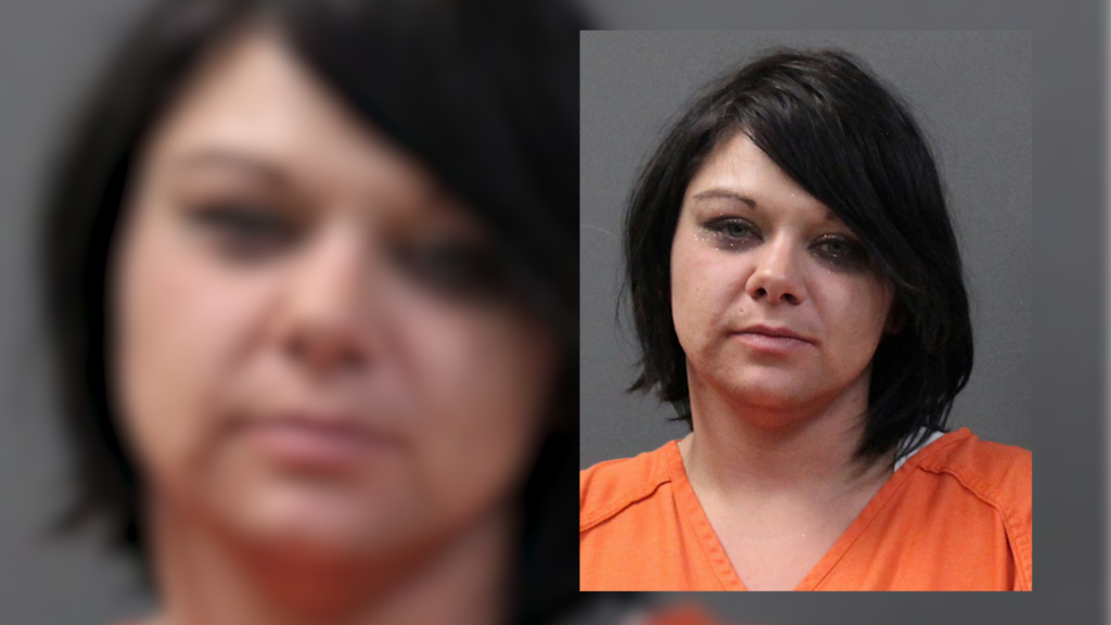 Woman Charged with Intentional Assault with a Folding Knife